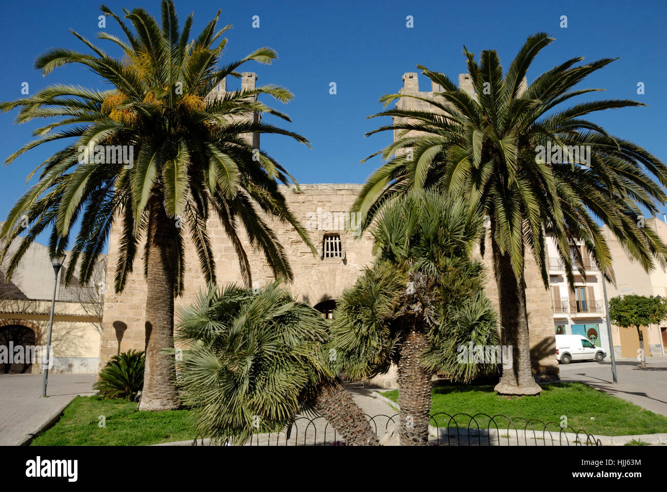mallorca, palms, city wall, palmtrees, blue, green, shine, shines ...