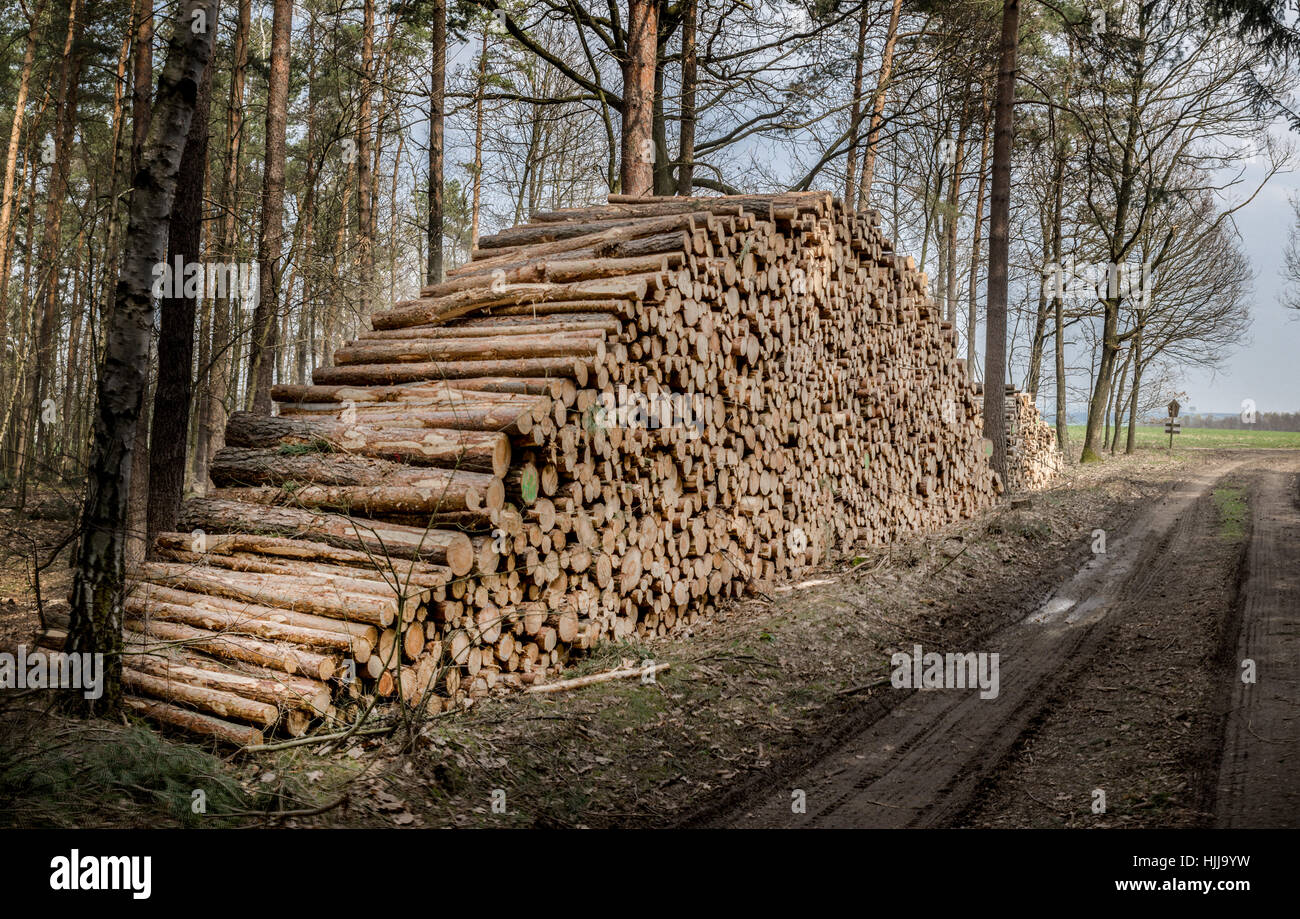 tree, trees, wood, drop, stack, tear down, lumberjack, forest, forestry ...