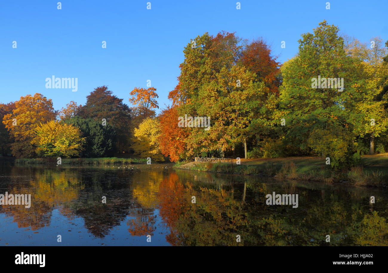 blue, relaxation, emotions, tree, trees, park, coloured, colourful ...