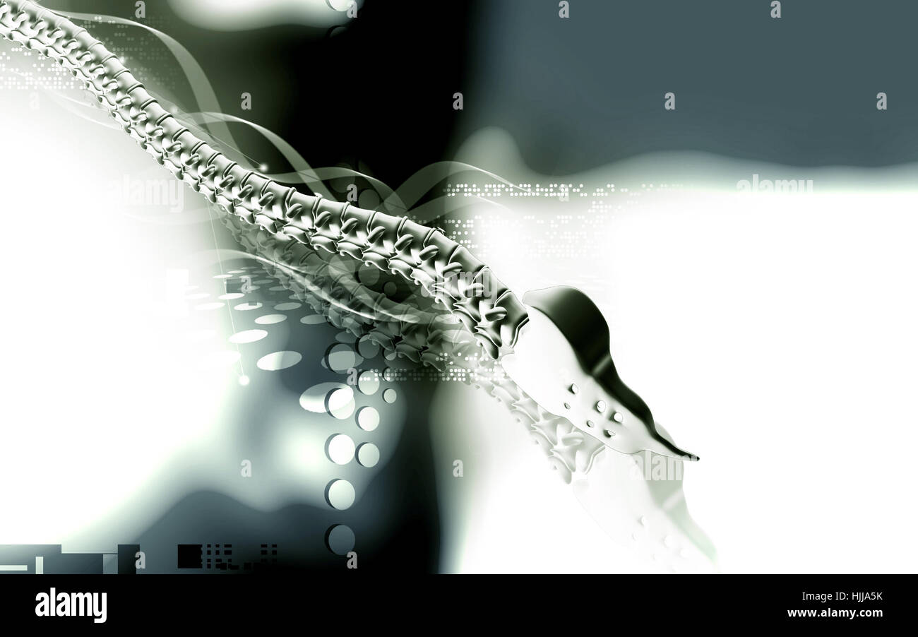 health, medicinally, medical, graphics, colour, illustration, stretch ...