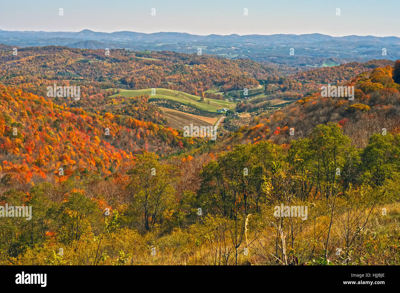 blue, tree, trees, mountains, leaves, haze, usa, branches, horizontal ...