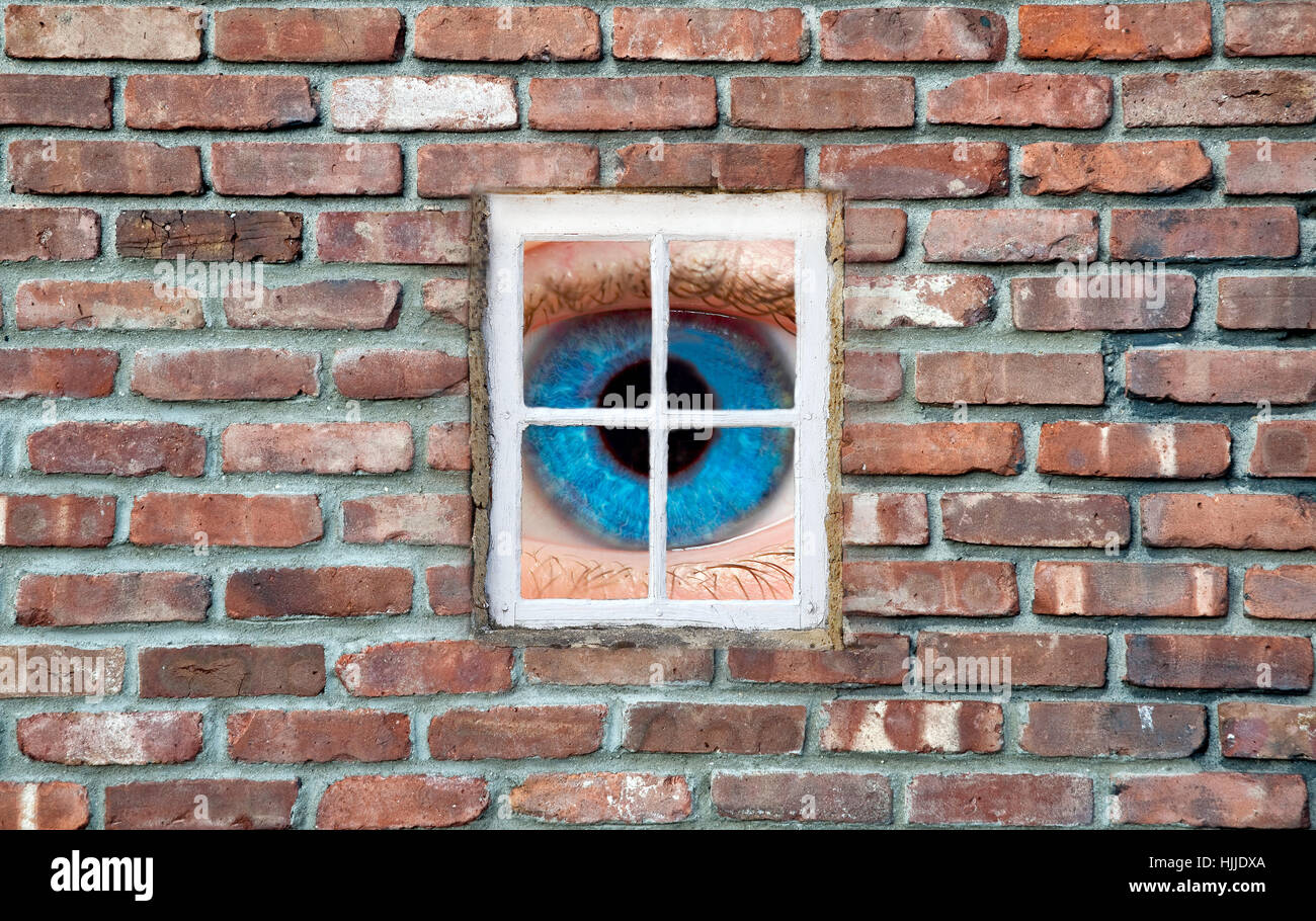 stone, window, porthole, dormer window, pane, eye, organ, look ...