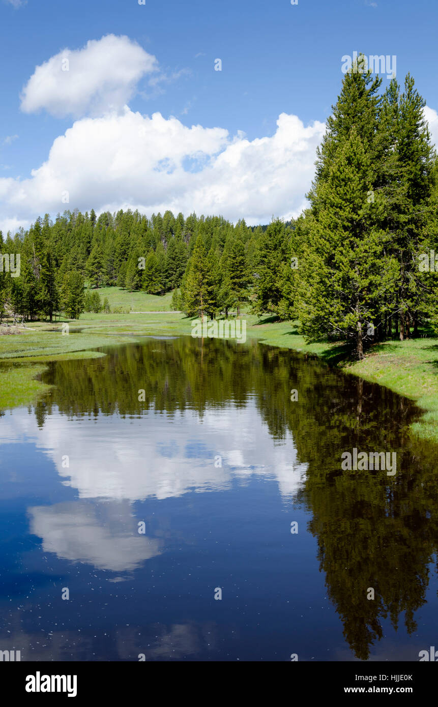 environment, enviroment, summer, summerly, america, Canyon, fresh water ...