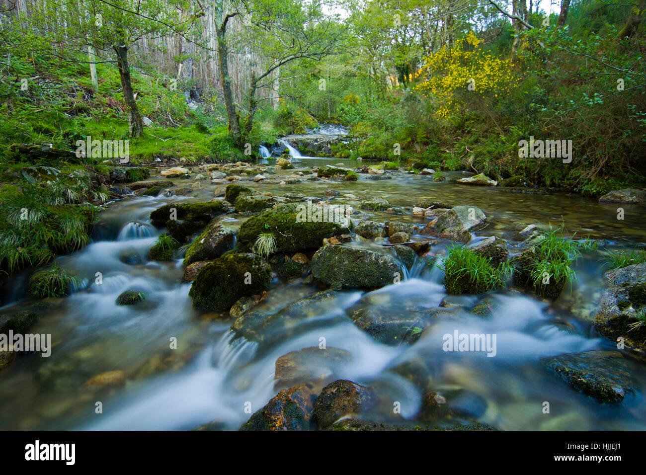 stream, galicia, landscape, scenery, countryside, nature, cascade ...