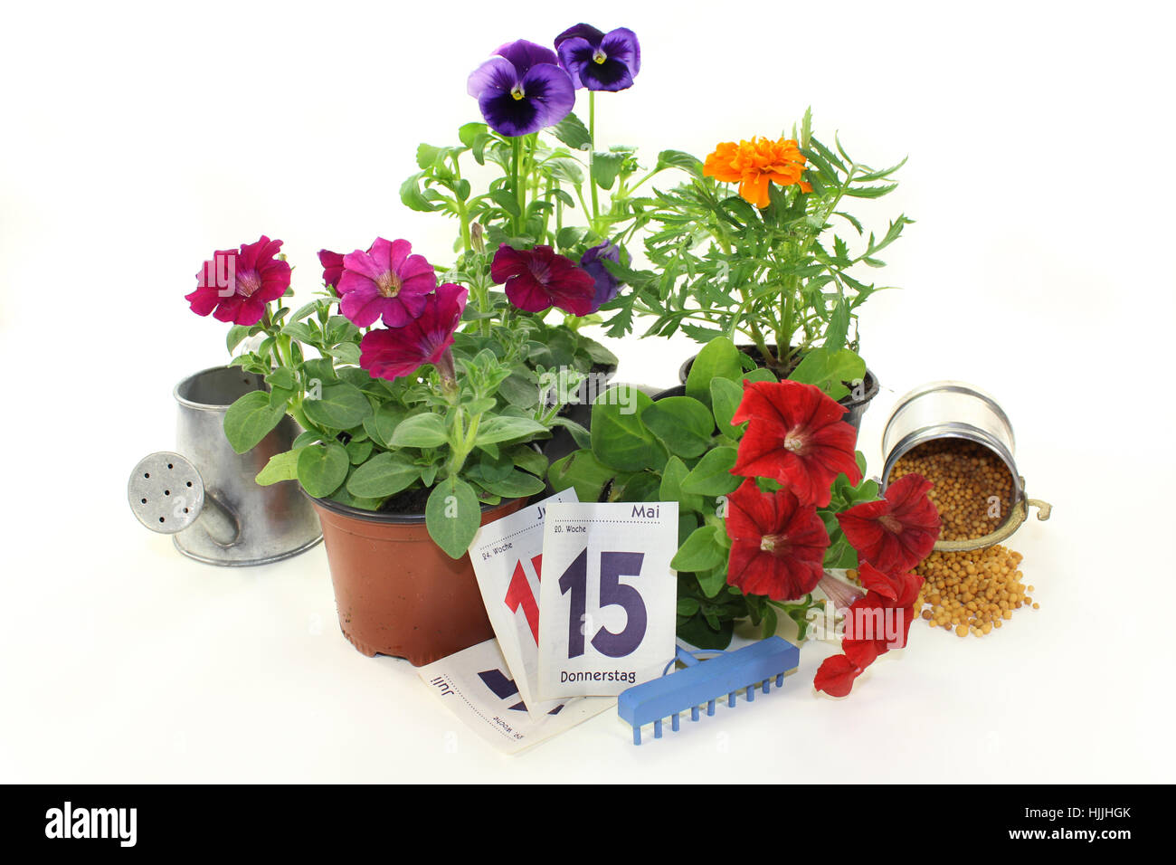 flower, plant, pellets, fertiliser, manure, garden, flower, plant ...