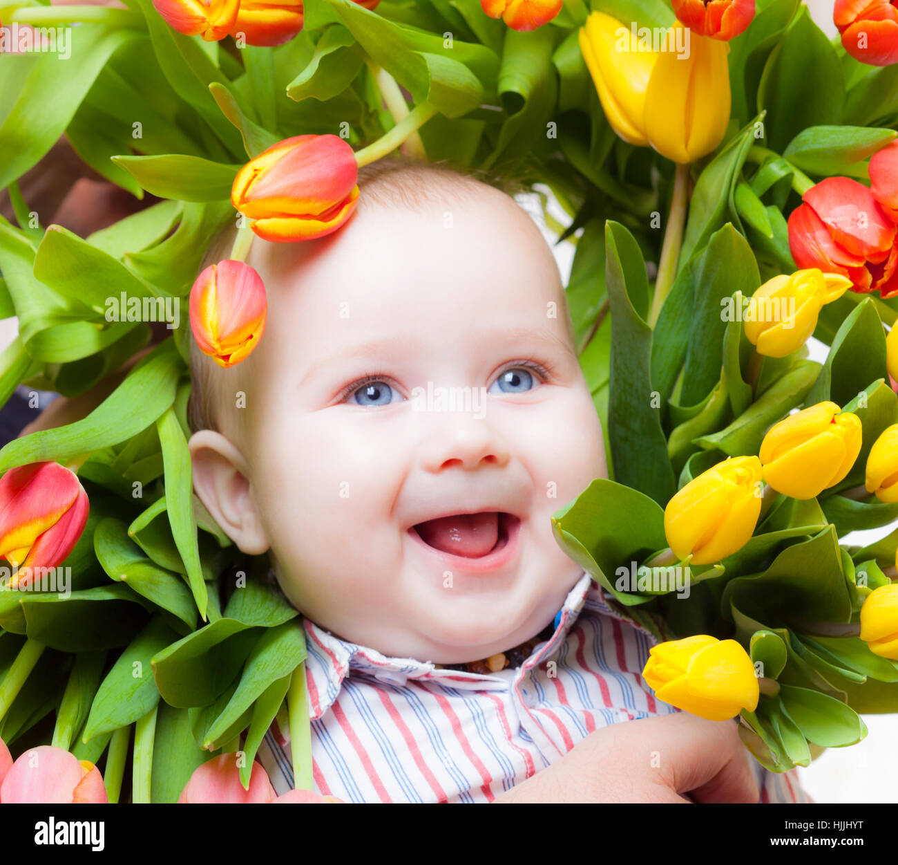 born, baby, child, laugh, laughs, laughing, twit, giggle, smile ...