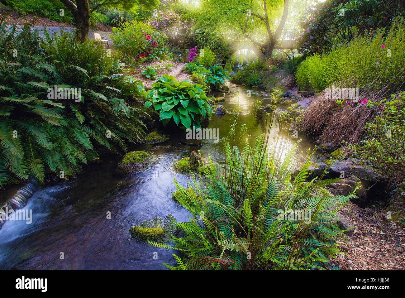 wood, bridge, stream, plants, structure, water, walk, go, going ...