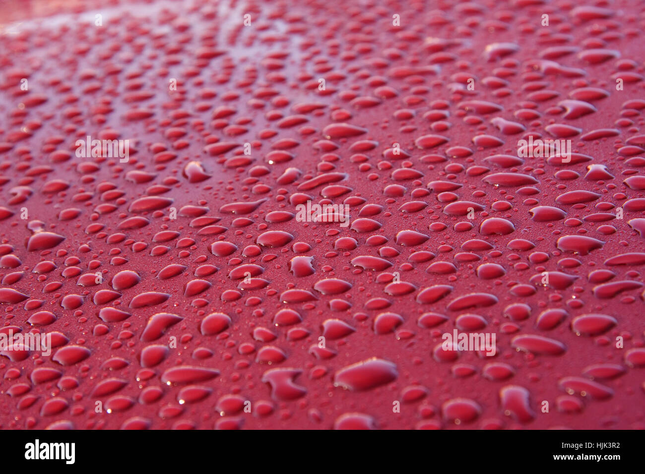 raindrop, water drop, waterdrop, water, backdrop, background, red, drop ...