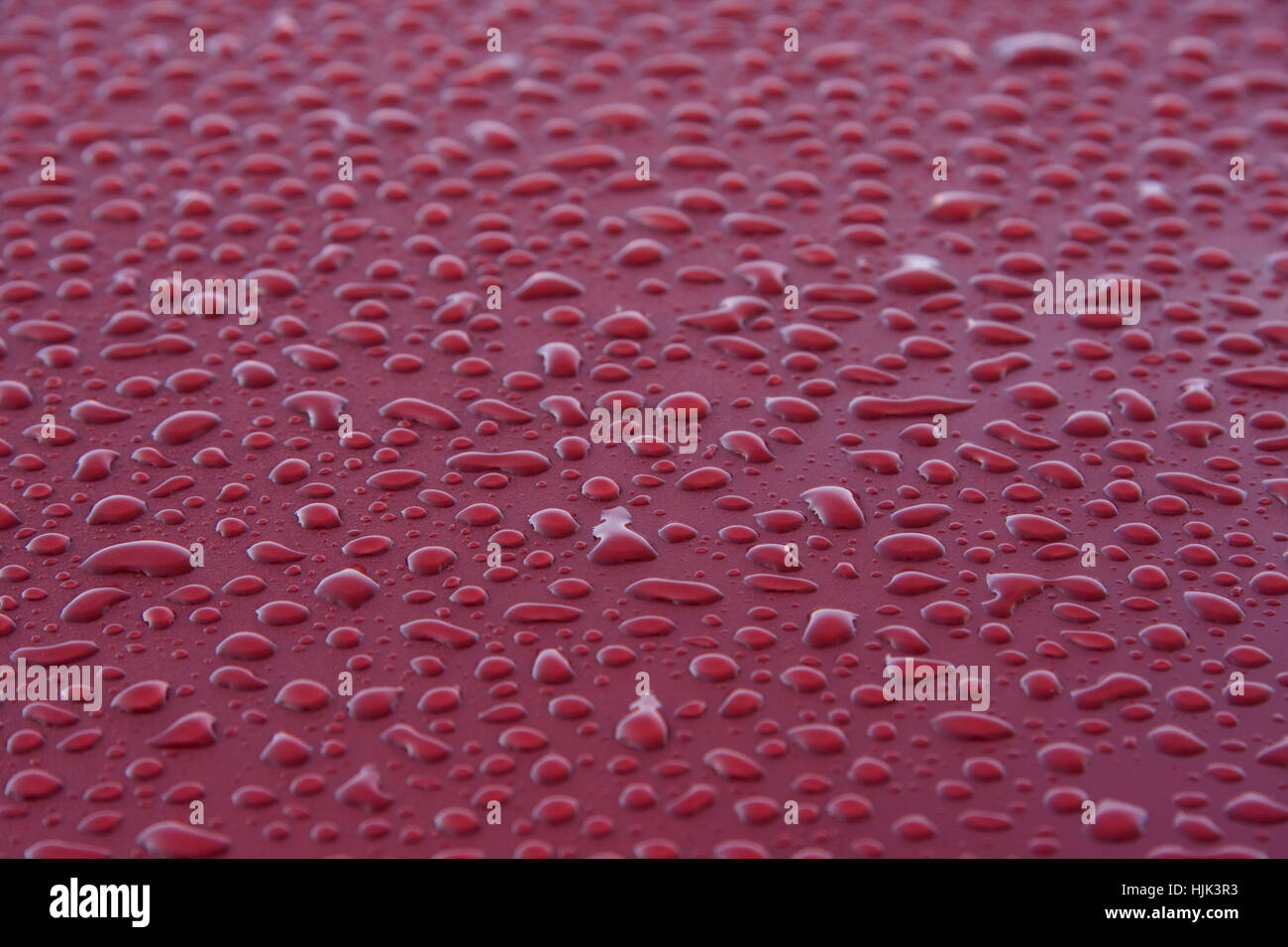 raindrop, water drop, waterdrop, water, backdrop, background, red, drop ...