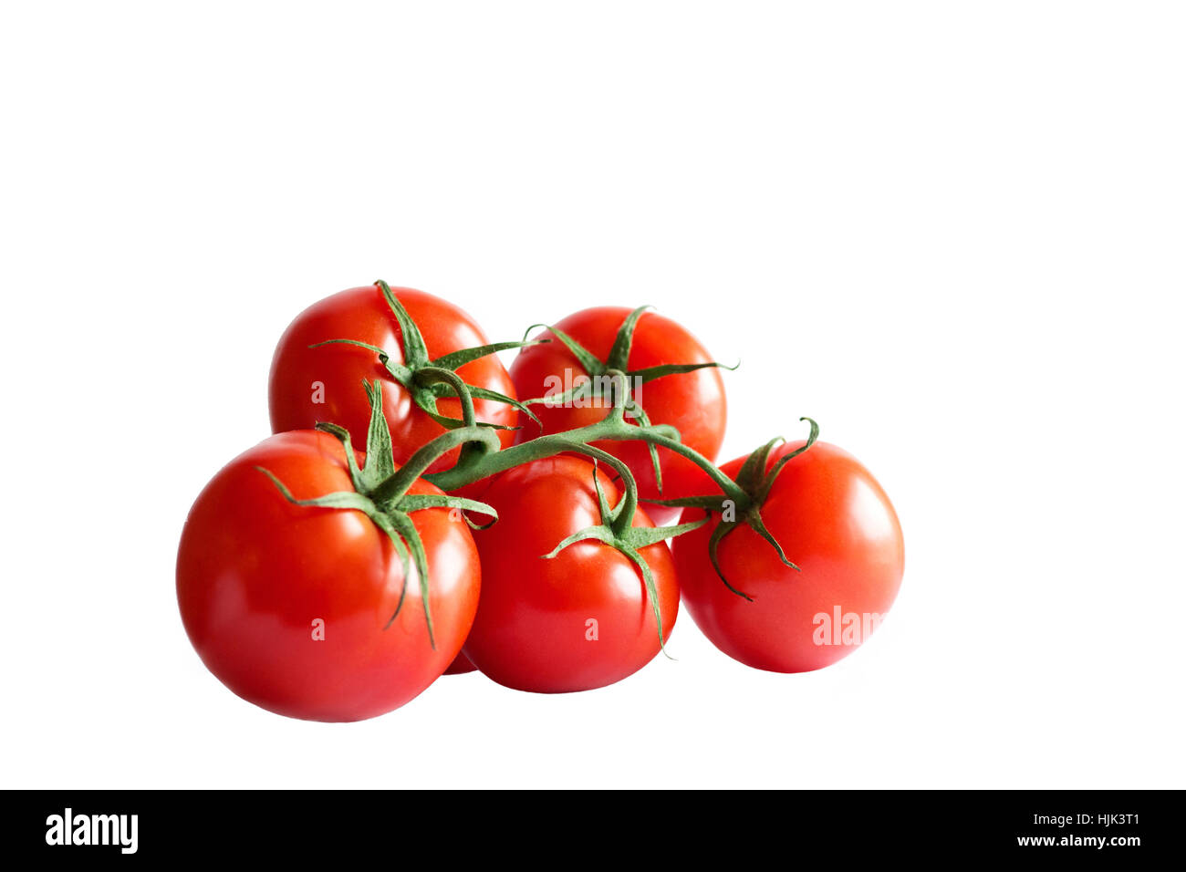 Branch of Fresh Red Tomatoes Isolated on White Backround Natural ...