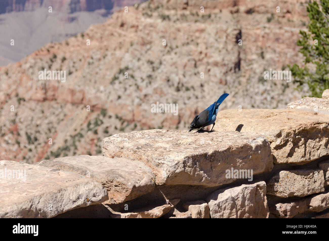 summer, summerly, erosion, geology, colors, colours, blue, environment ...