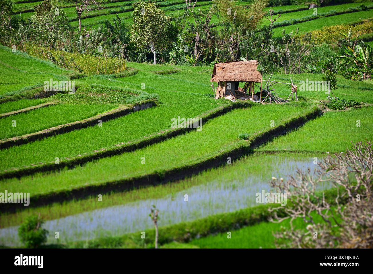 sight, view, outlook, perspective, vista, panorama, lookout, landscape ...