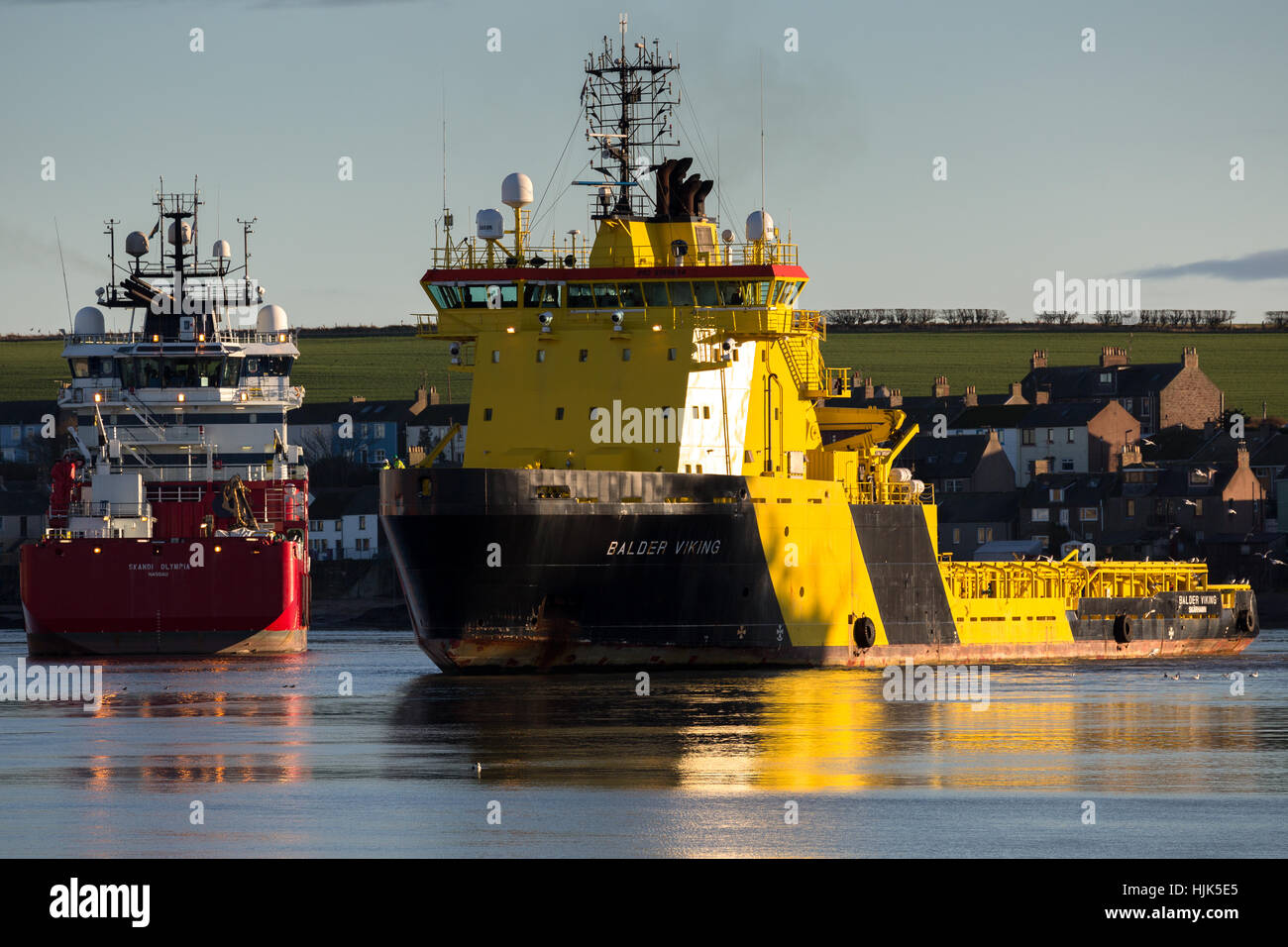 Viking yellow oil industry supply ships berthed Montrose Scotland UK ...