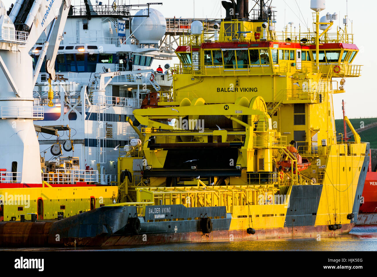 Viking yellow oil industry supply ships berthed Montrose Scotland UK ...