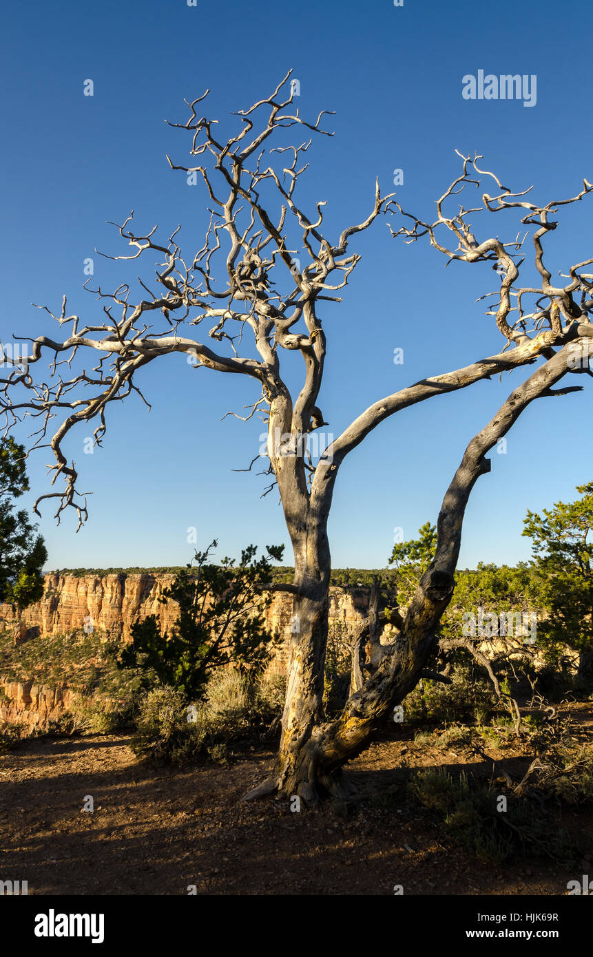 summer, summerly, erosion, geology, colors, colours, environment ...