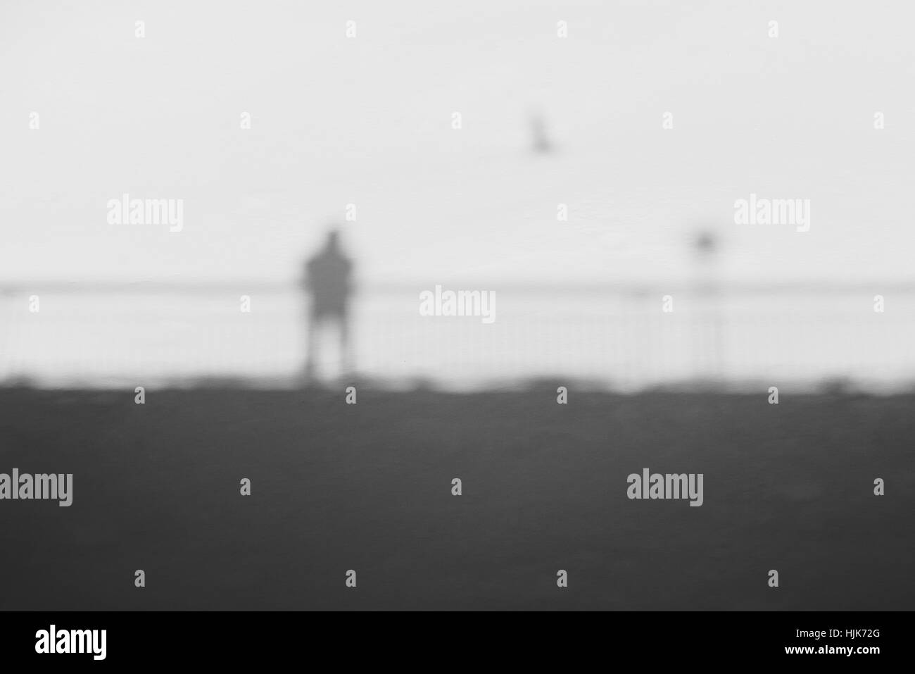 Flying Bird Shadow Black and White Stock Photos & Images - Alamy