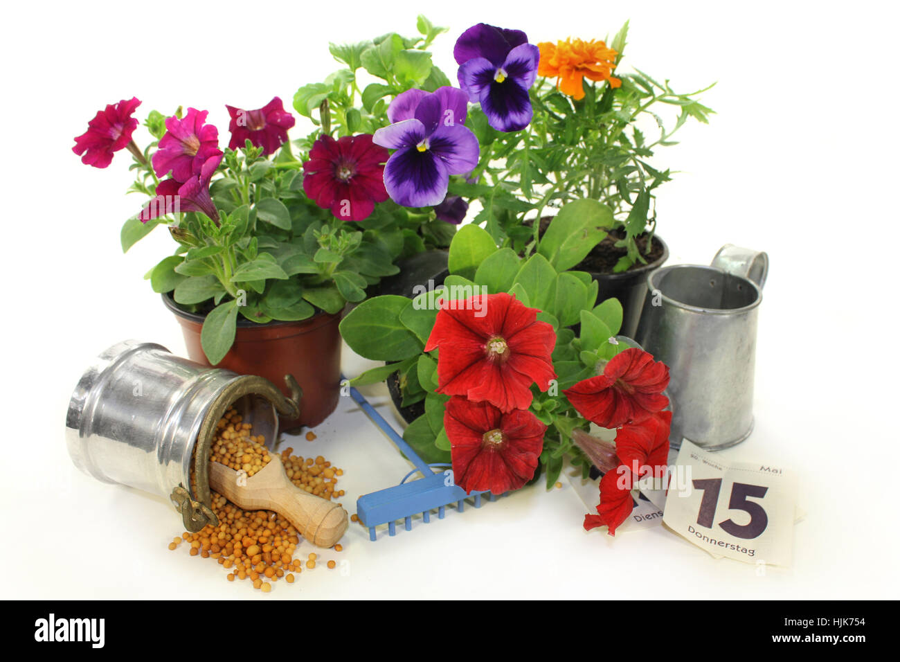 flower, plant, pellets, fertiliser, manure, garden, flower, plant ...