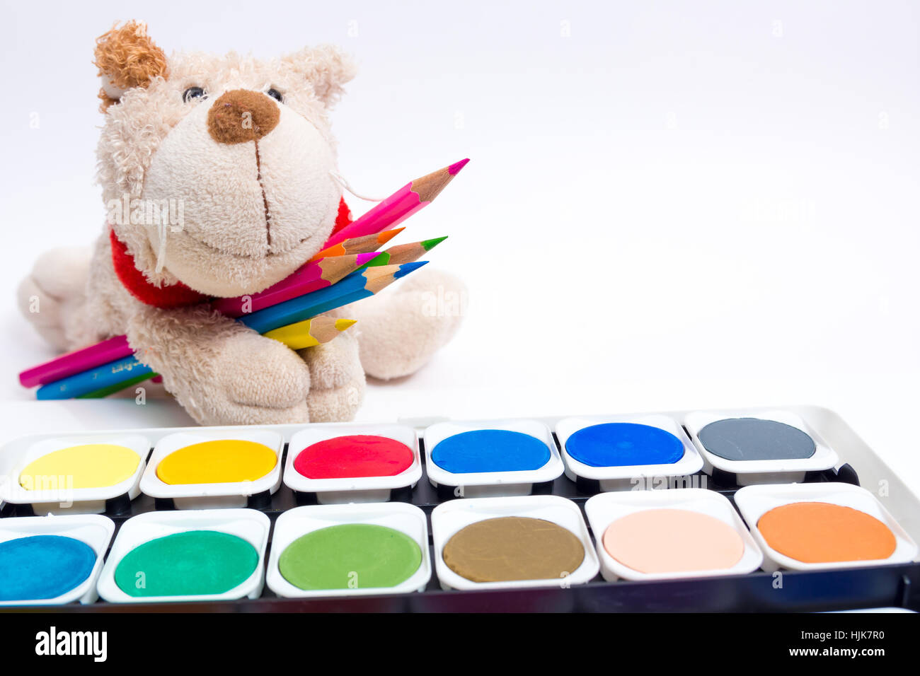 colour, class, grade of school, enrollment, school, educational ...