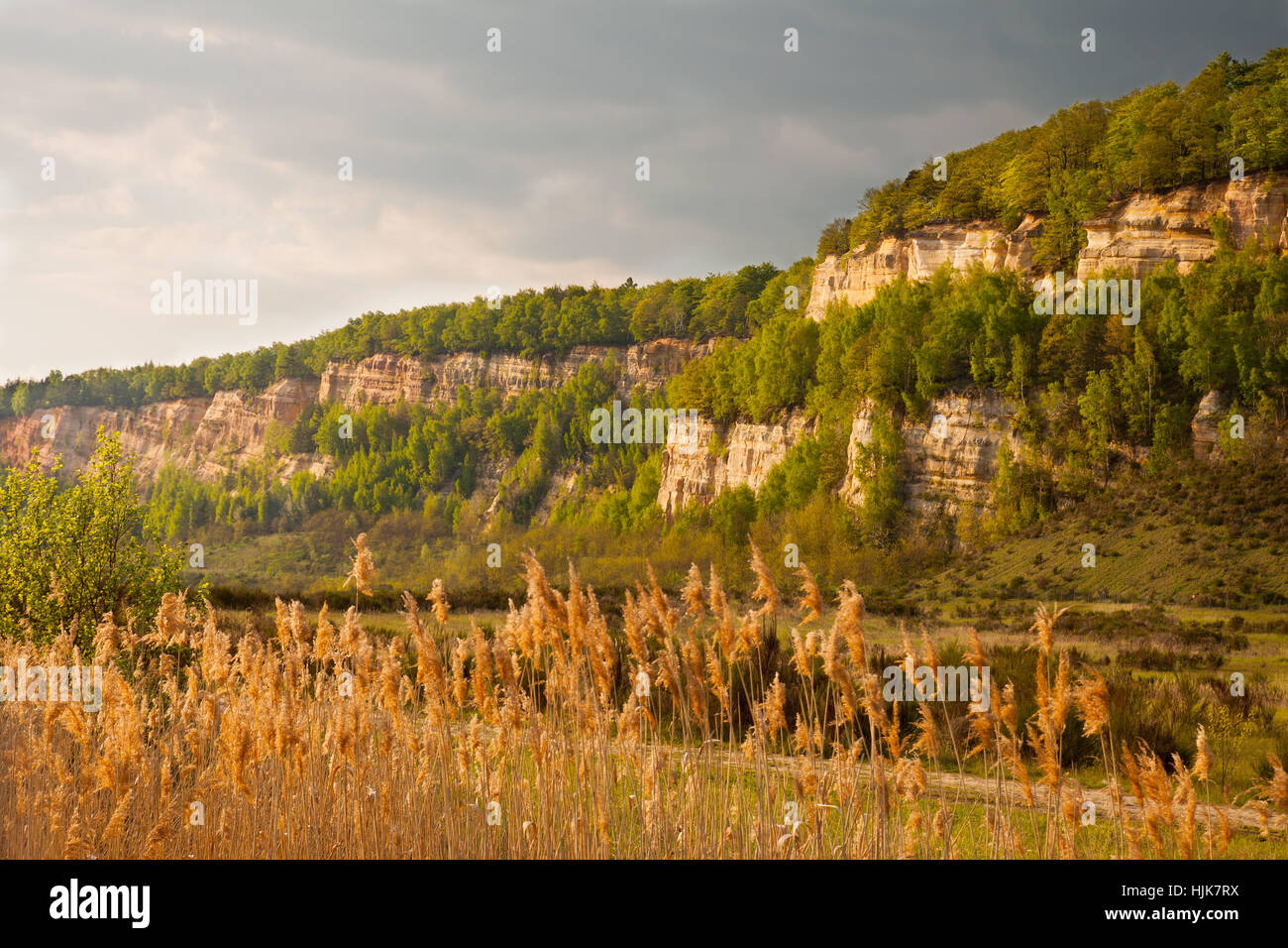 france, quarry, sand pit, rock, sandstone, reed, freymingmerlebach ...