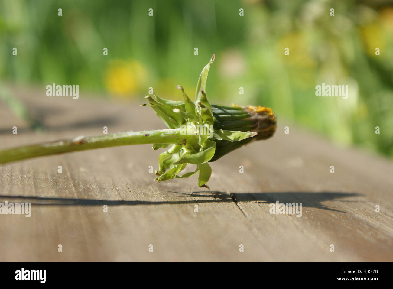 Conversely hi-res stock photography and images - Alamy