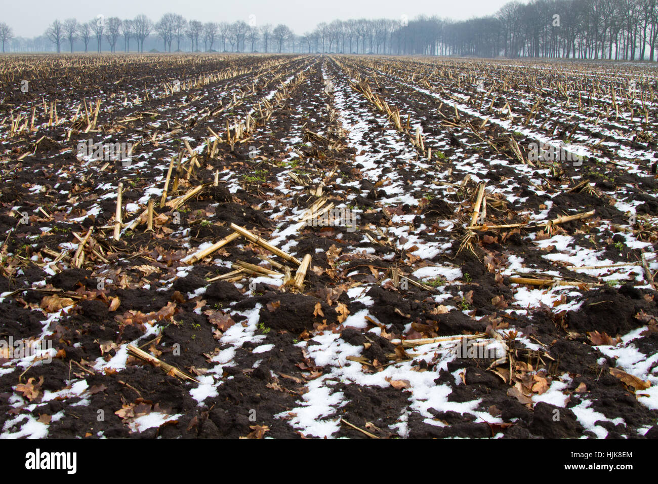 Barren crop field hi-res stock photography and images - Alamy