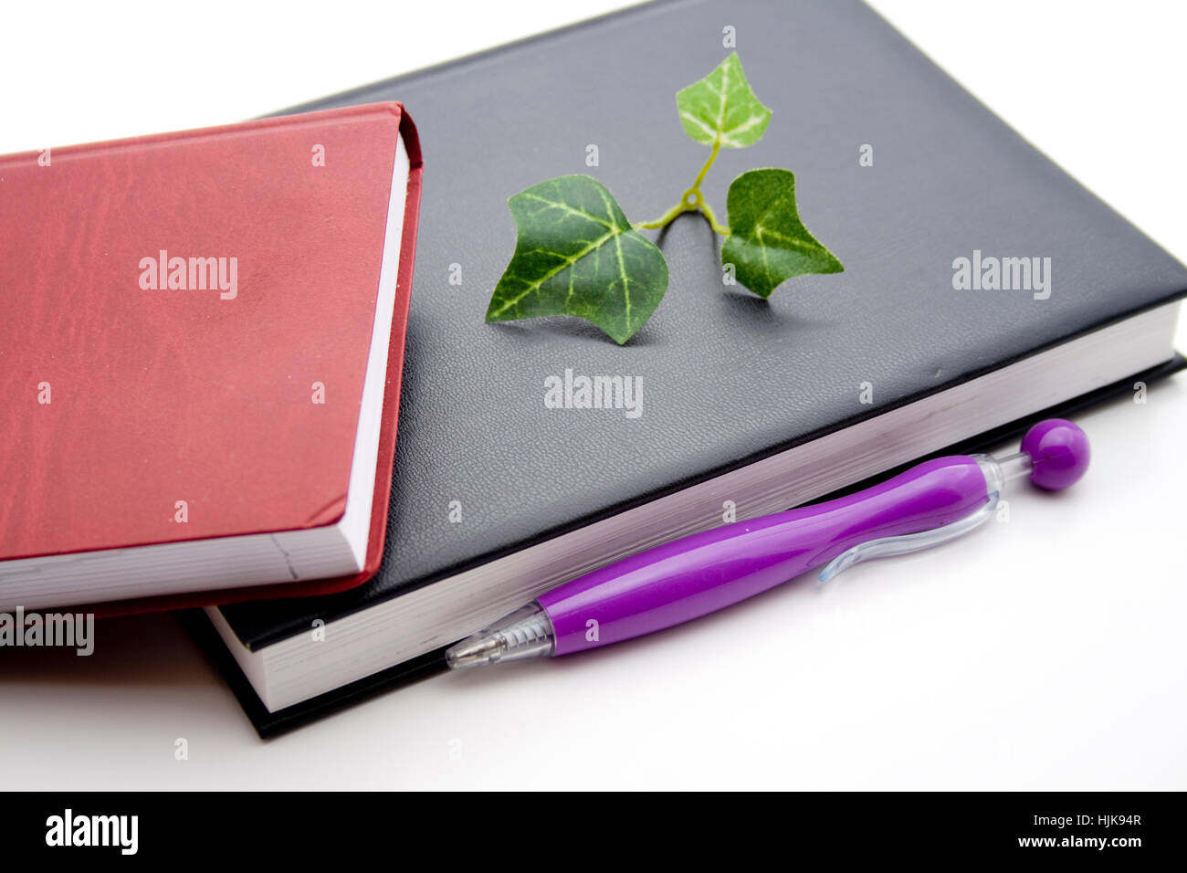 ball pen, ballpoint, ballpen, ball-pen, ball-point, ballpoint pen, biro ...