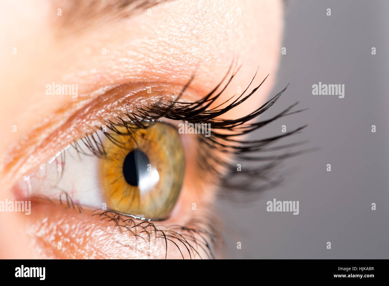 woman eye with long eyelashes Stock Photo - Alamy