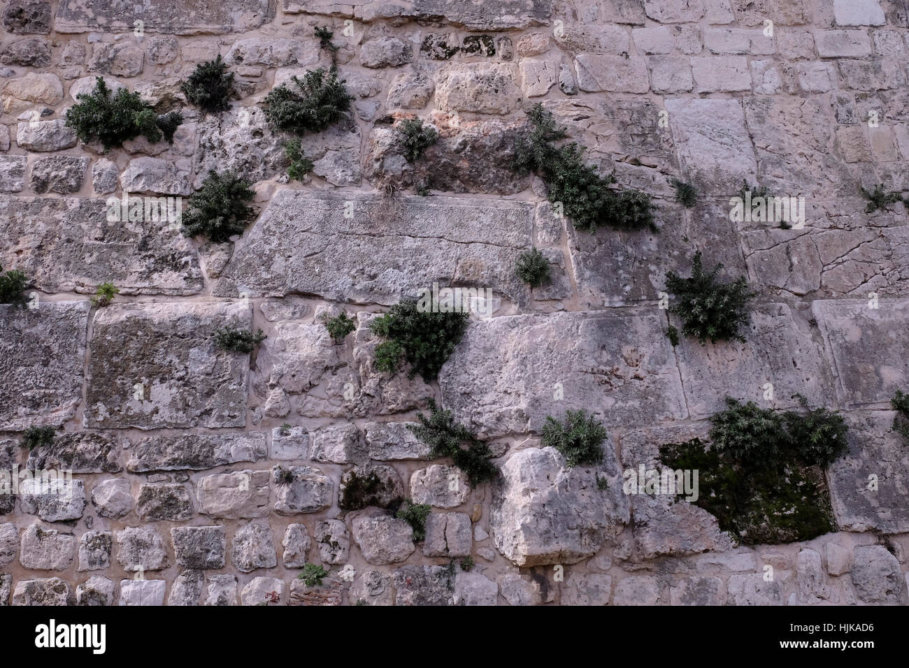 The massive wall of the fortified Tower of David, also known as the ...