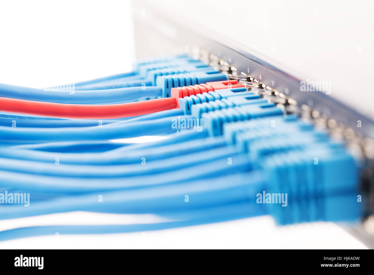 Network switch and ethernet cables,Data Center Concept Stock Photo - Alamy