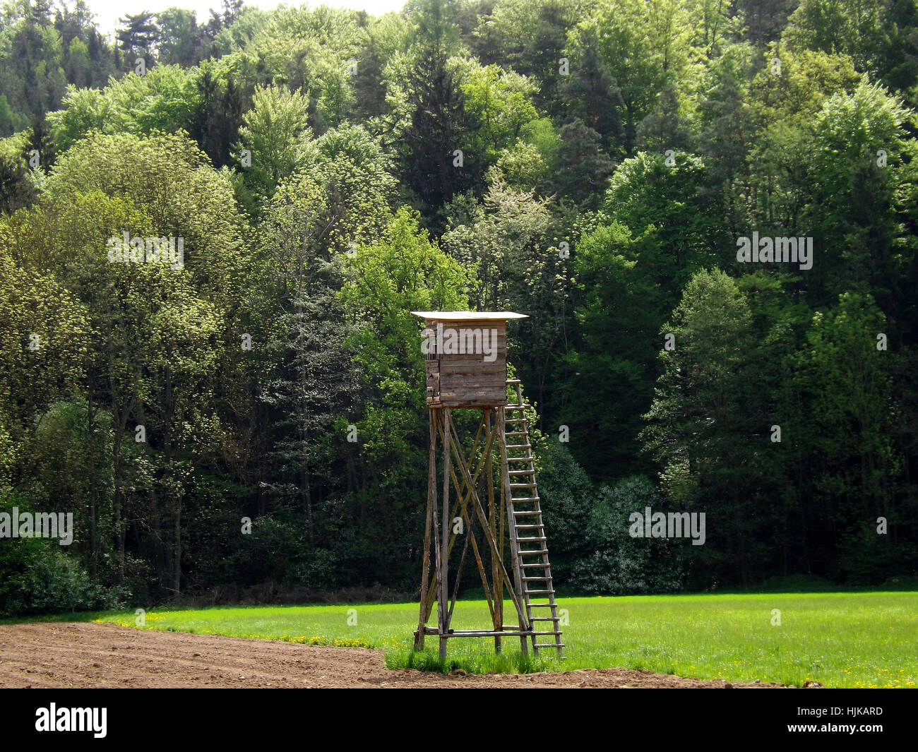 object, animals, hunter, sight, view, outlook, perspective, vista ...