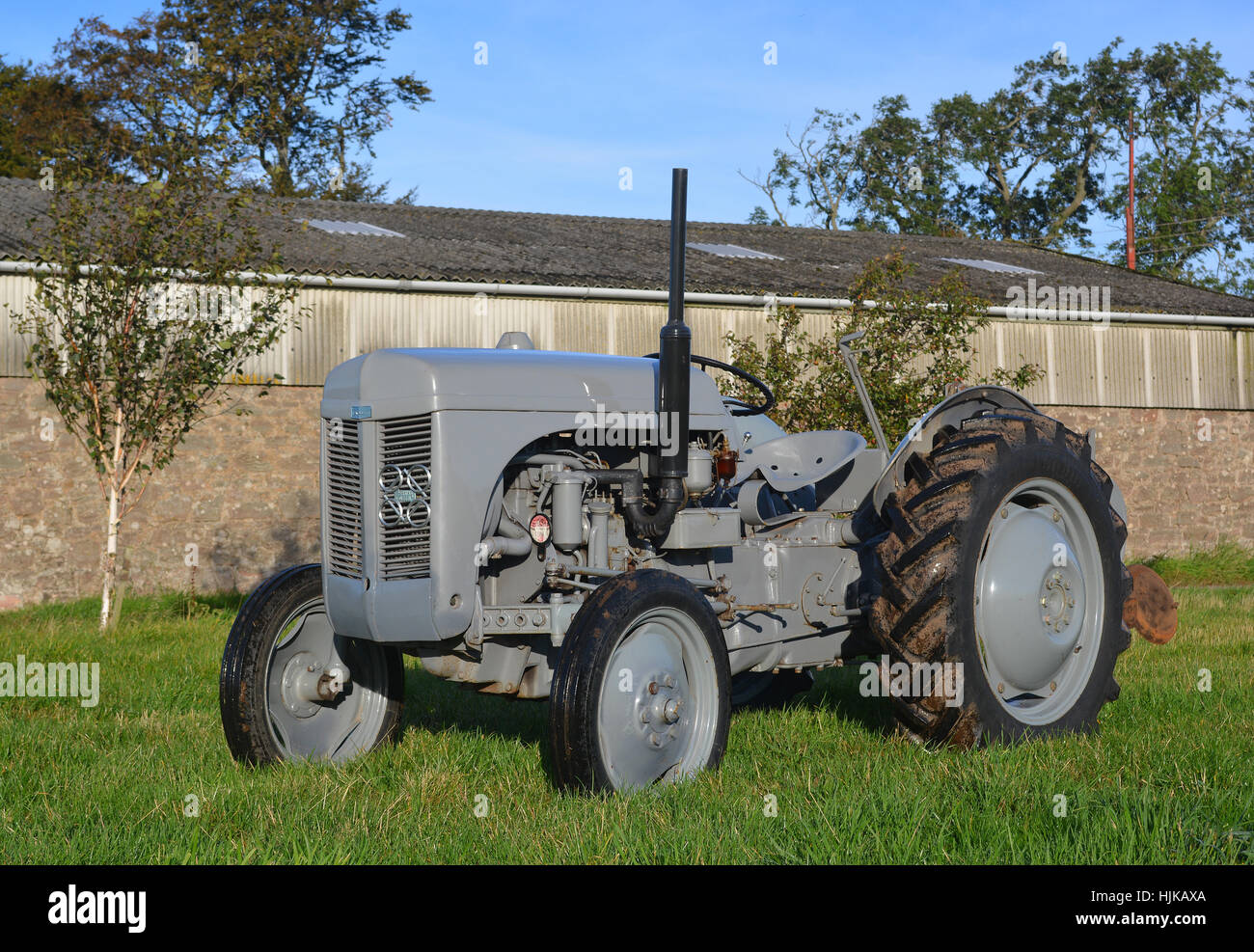Ferguson TEA vintage tractor Stock Photo - Alamy