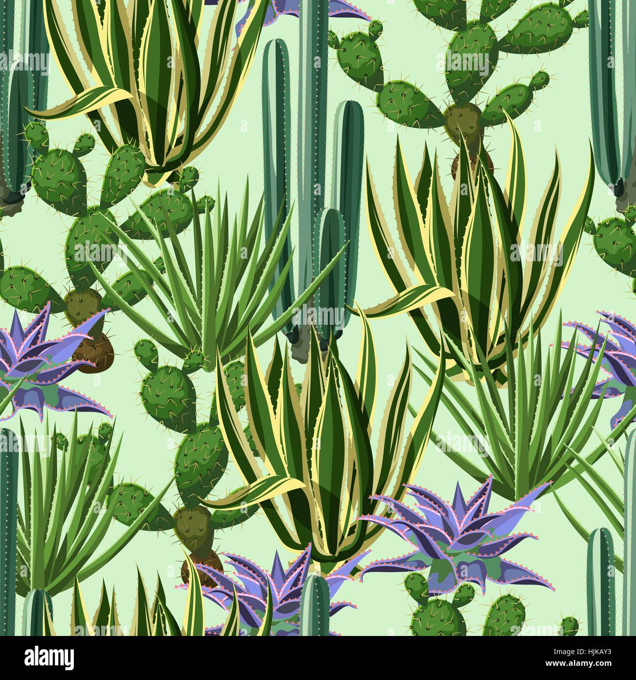 Seamless pattern with cactuses and succulents set. Plants of desert Stock Vector Image & Art - Alamy