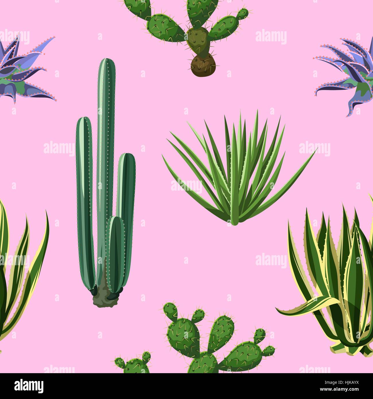 Seamless pattern with cactuses and succulents set. Plants of desert ...