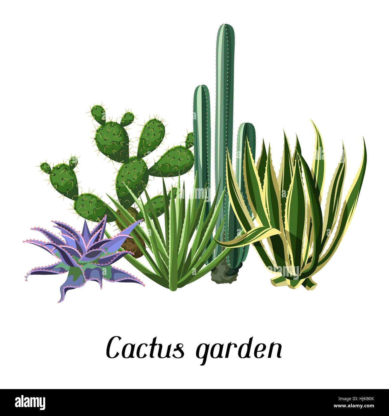 Card with cactuses and succulents set. Plants of desert Stock Vector ...