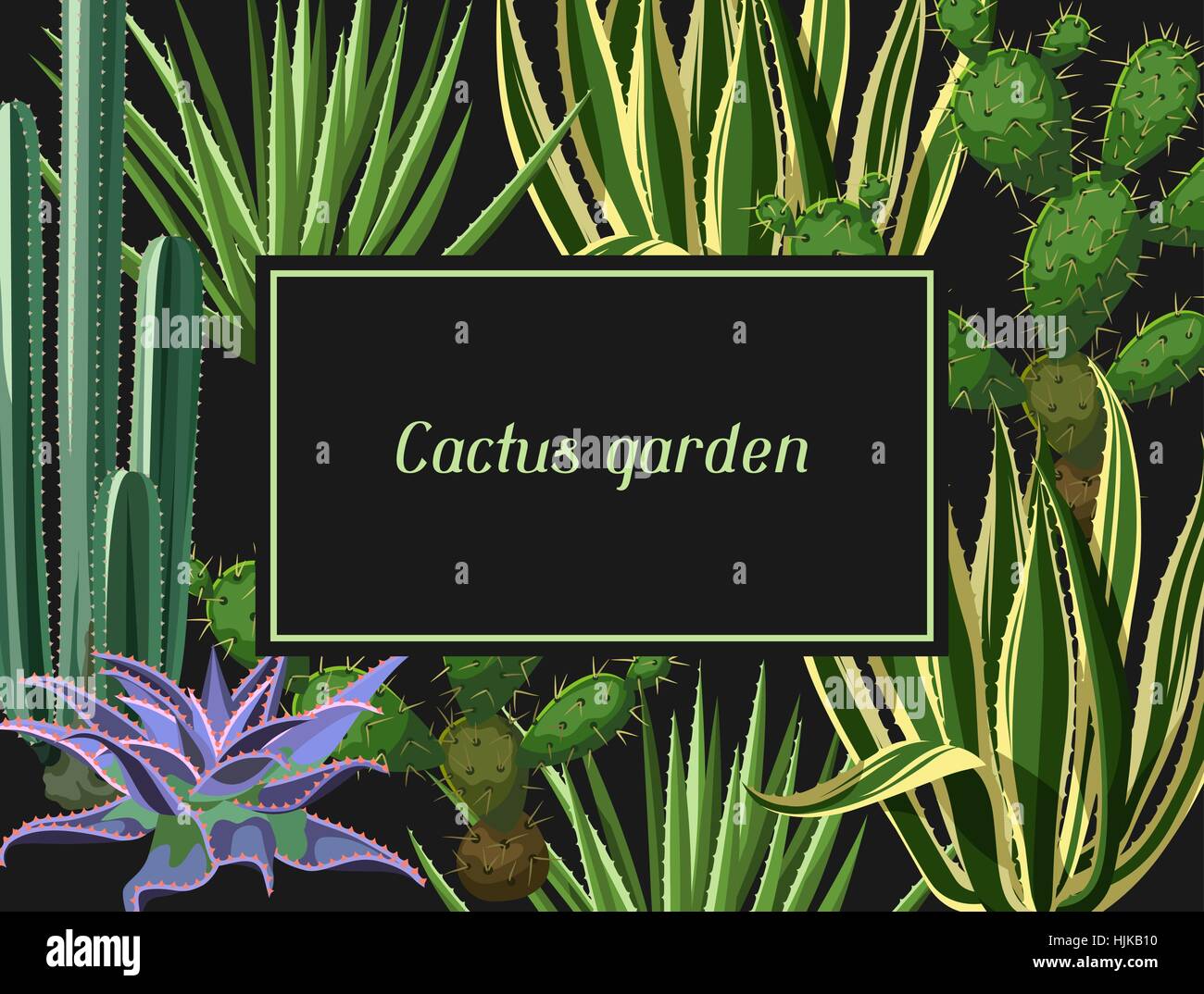 Card with cactuses and succulents set. Plants of desert Stock Vector ...