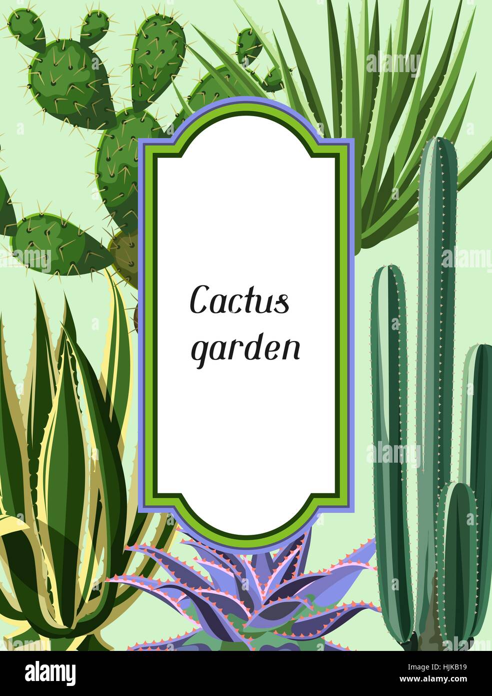 Frame with cactuses and succulents set. Plants of desert Stock Vector ...