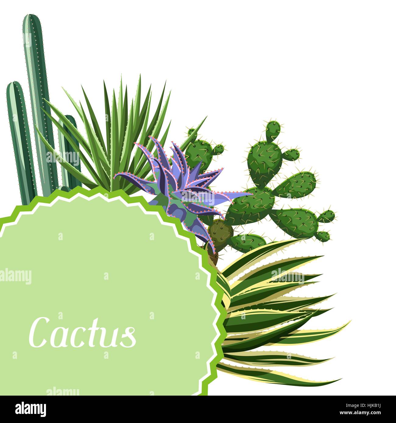 Card with cactuses and succulents set. Plants of desert Stock Vector ...