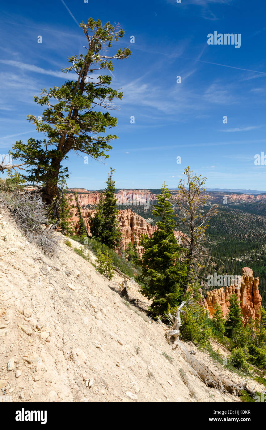 environment, enviroment, america, trip, vegetation, plateau, journey ...