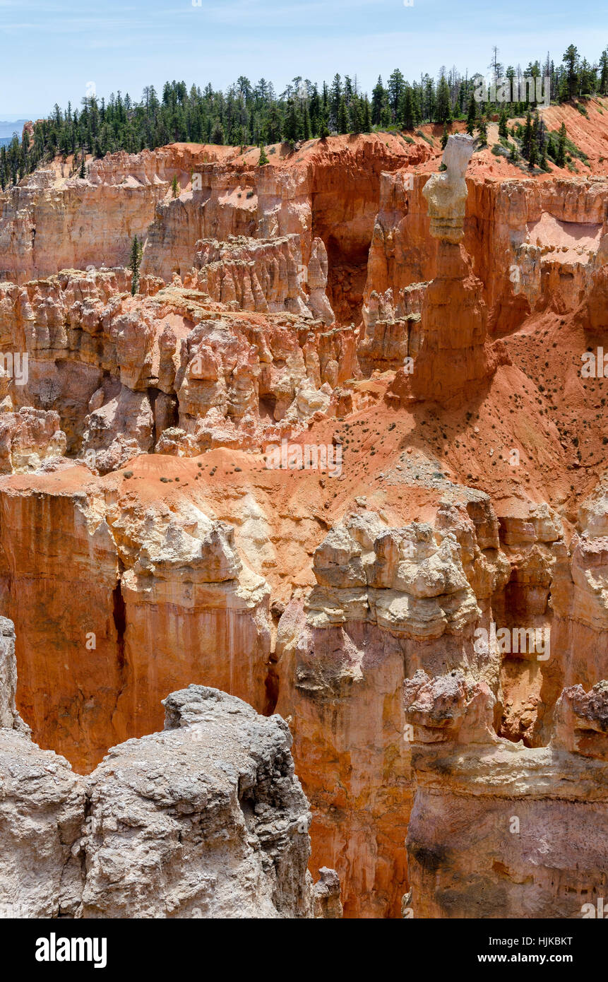 environment, enviroment, america, trip, vegetation, plateau, journey ...