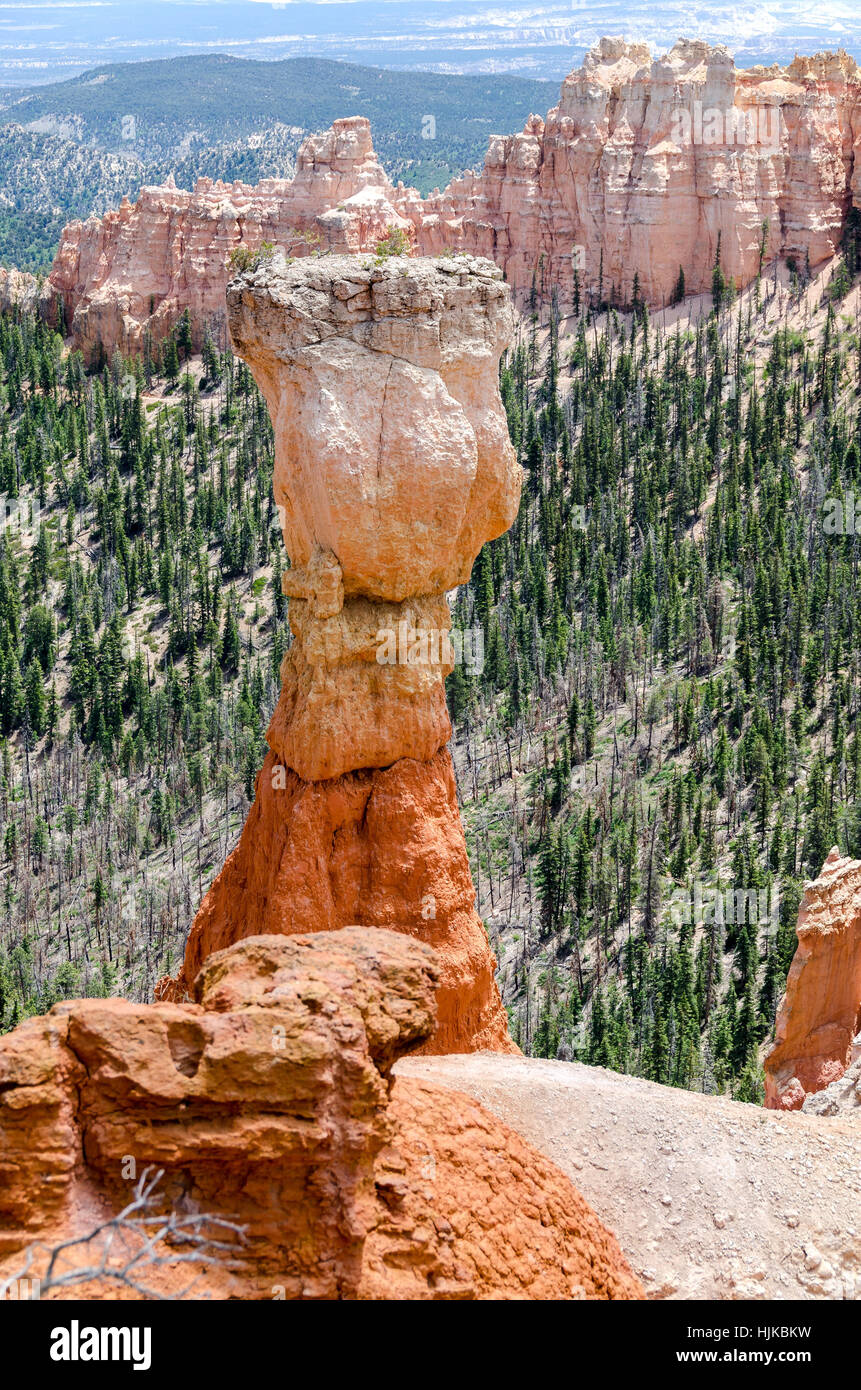 environment, enviroment, america, trip, vegetation, plateau, journey ...