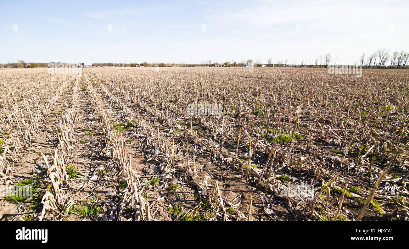 blue, industry, agriculture, farming, field, sunlight, dirt, dry, dried ...