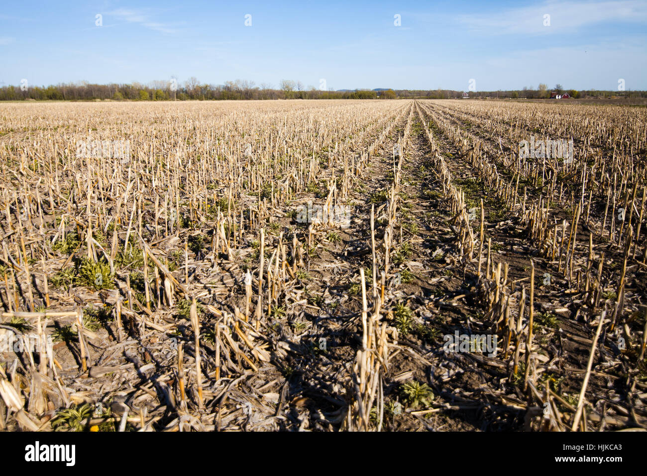 blue, industry, agriculture, farming, field, sunlight, dirt, dry, dried ...