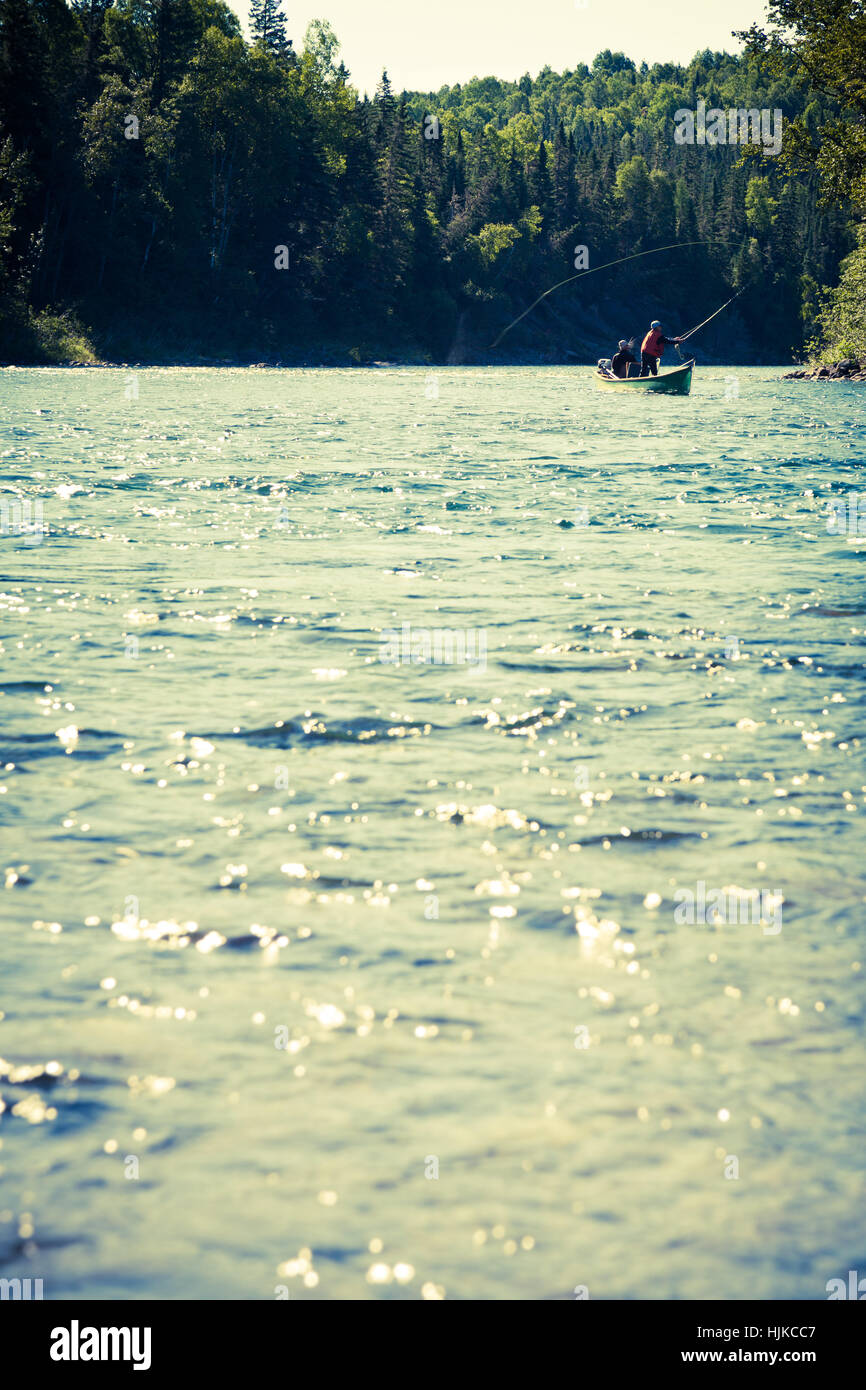 humans, human beings, people, folk, persons, human, human being, spare ...