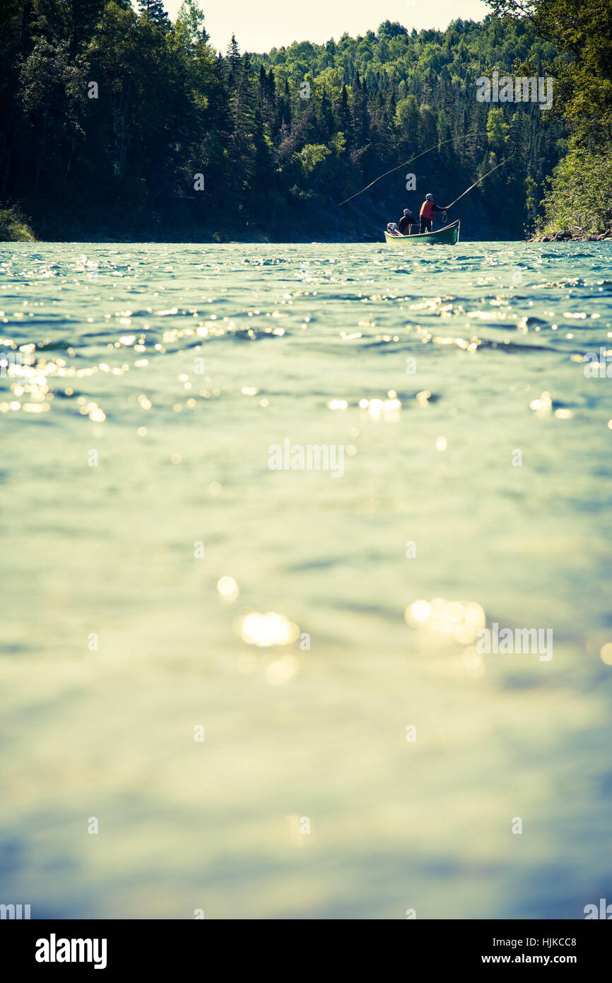 humans, human beings, people, folk, persons, human, human being, spare ...