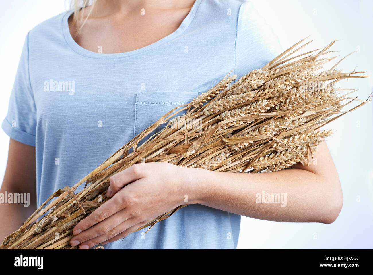 Wheat crop bundle hi-res stock photography and images - Alamy