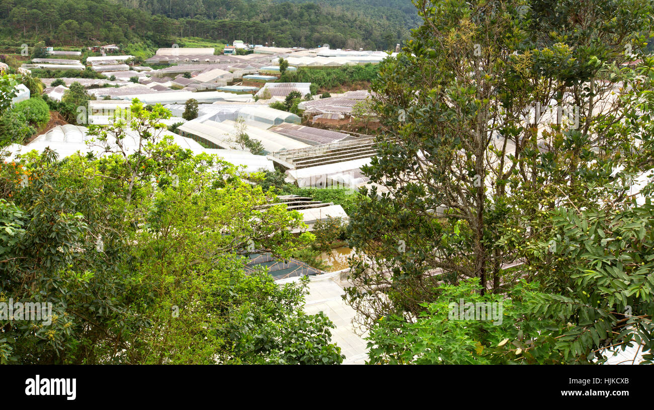 White growing tunnels hi-res stock photography and images - Alamy