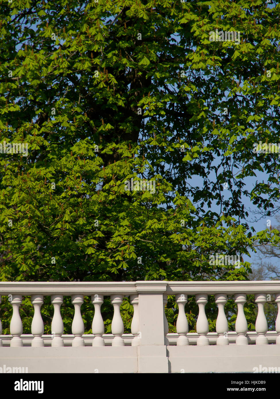 park, holland, chateau, castle, tower, park, garden, statue, columns ...