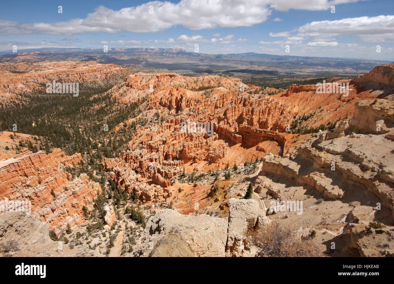 national park, usa, america, amphitheater, amphitheatre, tree, trees ...