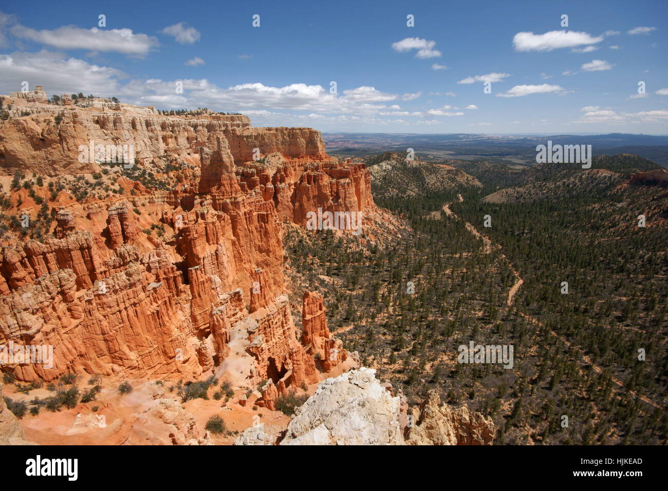 national park, usa, america, amphitheater, amphitheatre, tree, trees ...