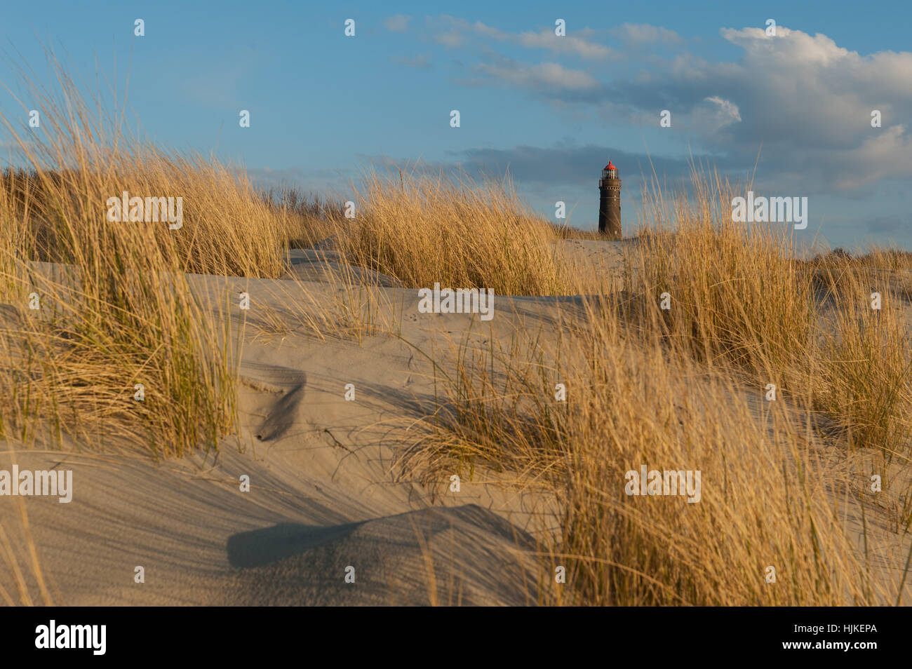 beach, seaside, the beach, seashore, dunes, germany, german federal ...